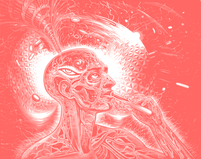 Cerebrito, cerebrito mágico, quién es la más bella del reino – mixx.io